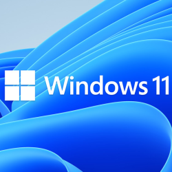 Meerdere Bureaubladen in Windows 11 | SeniorWeb